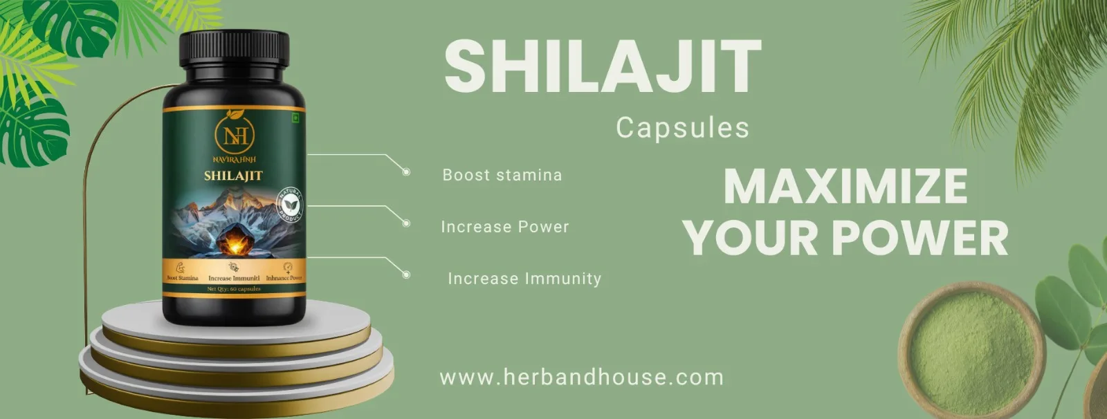 Shilajit Capsule | Herbal Ayurvedic Supplement for Energy & Immunity